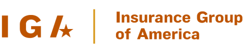 About - Insurance Group of America